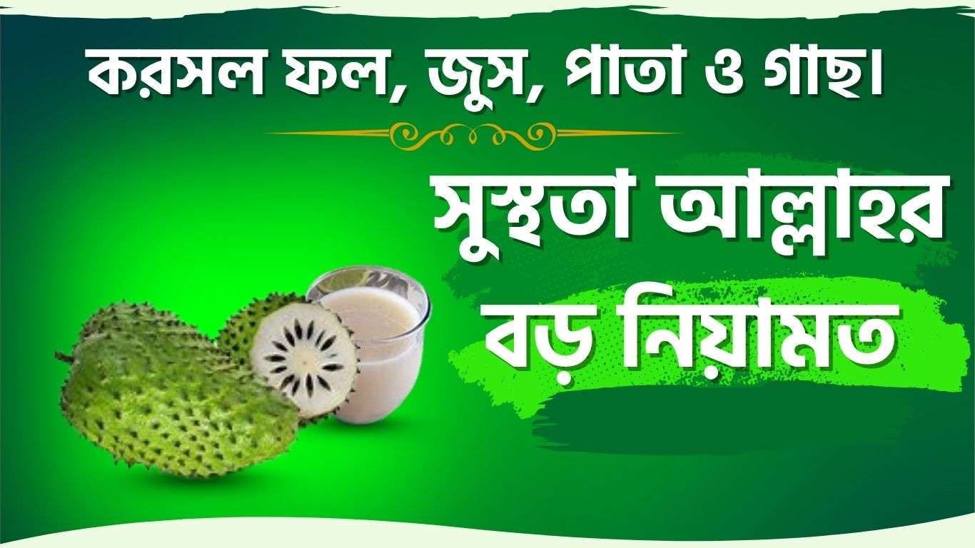 "Corossol Leaf – Health Benefits, Natural Uses & Buy Direct Online"